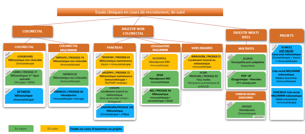 Nos études – Gercor